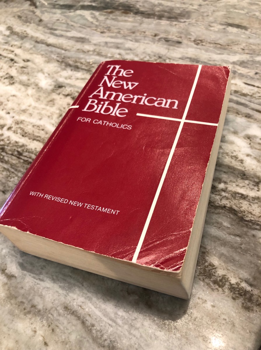 The 9th Commandment – The Cathohack